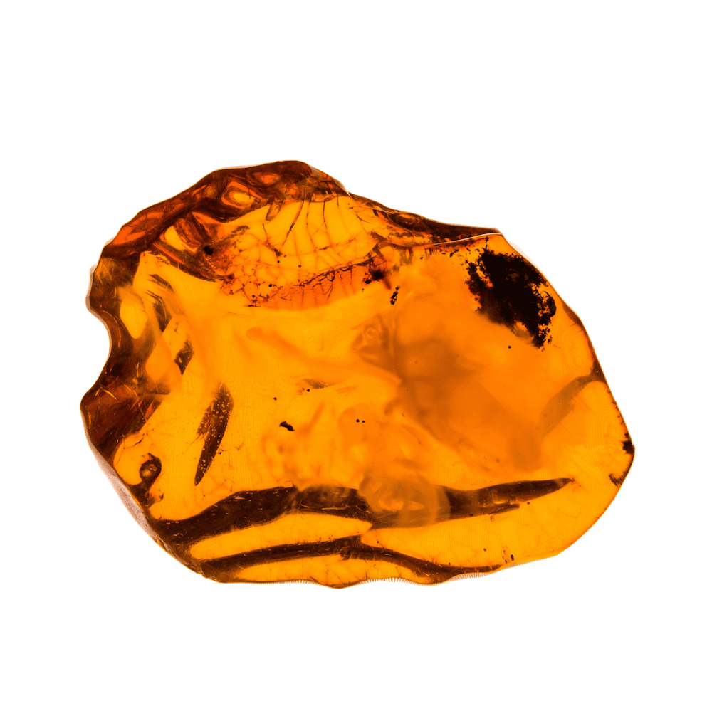 AMBER Olfactive Family - PERFUMESTARS.COM