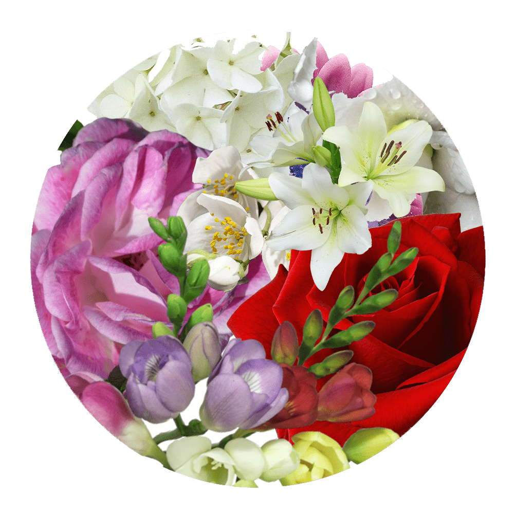 Perfume Olfactory Groups