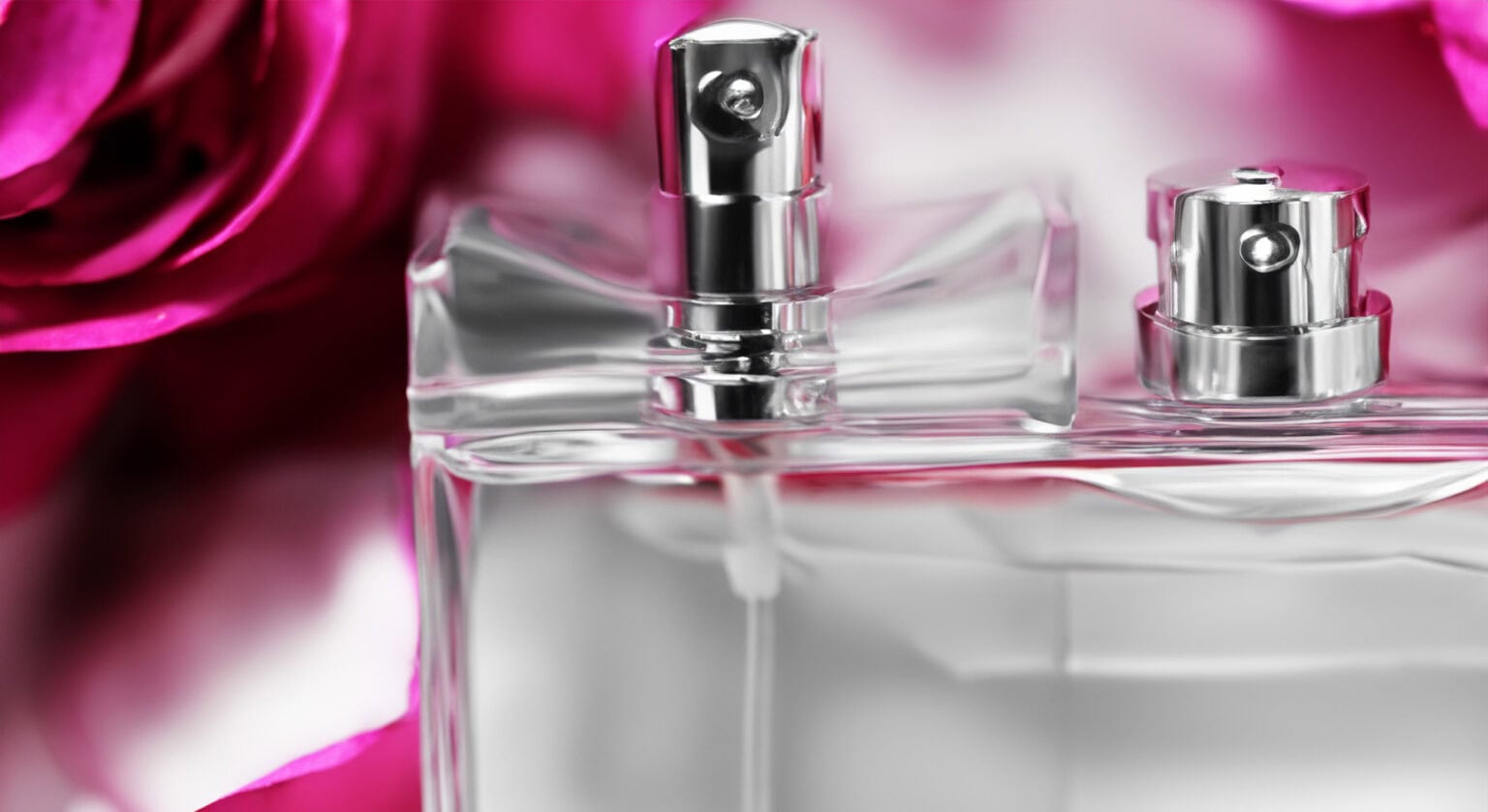 2024 Perfume Trends: Navigating Neo-Nostalgia, Sustainability, and ...