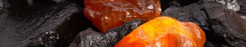 Amber Olfactive Family