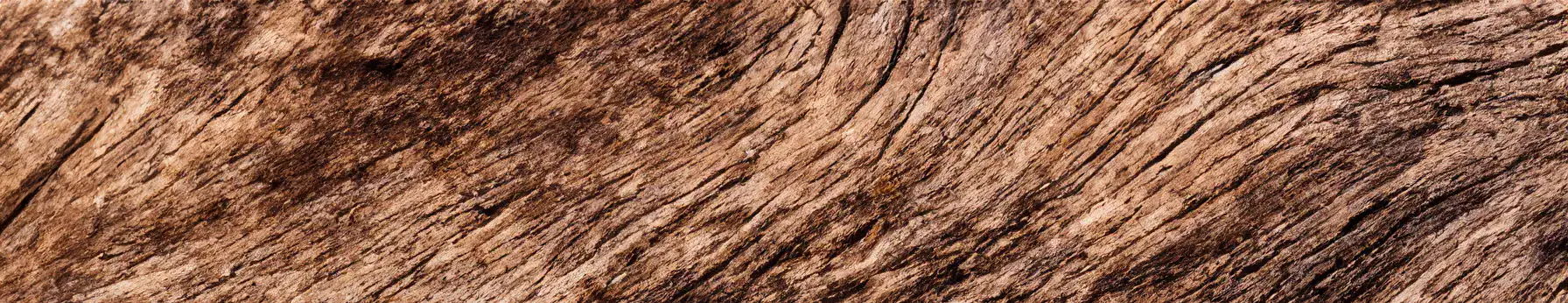 The Role of Guaiac Wood in Perfumery: Extraction, Blending, and Iconic ...