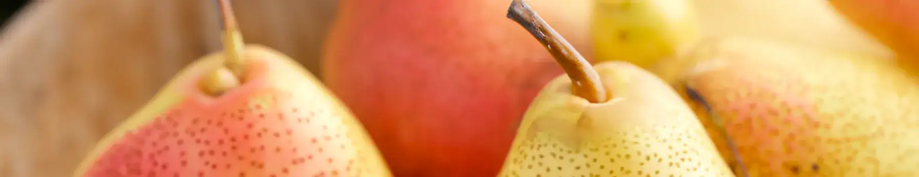 The Unique Essence of Nashi Pear in Perfumery: A Crisp and Delicate Delight