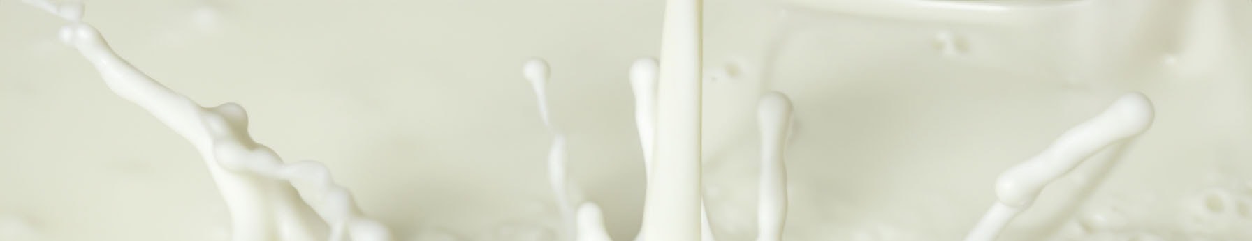 Milk in Perfumery: Softness and Warmth Captured in Fragrance
