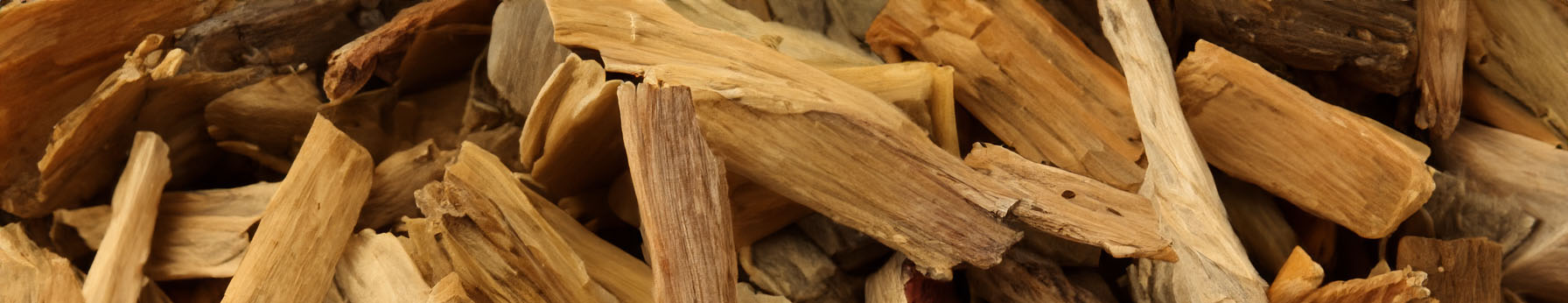 Palo Santo: The Sacred Wood in Perfumery