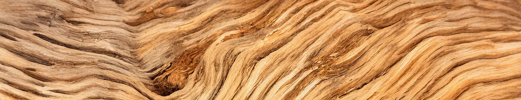 Olive Wood: Mediterranean Warmth in Modern Perfumery