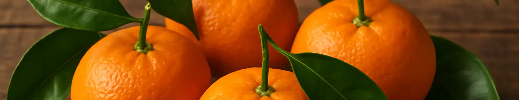 Tangerine: The Sunlit Spark of Modern Perfumery