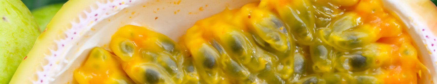 Latest and Upcoming Perfumes 2025 - New Fragrance Releases & Launches